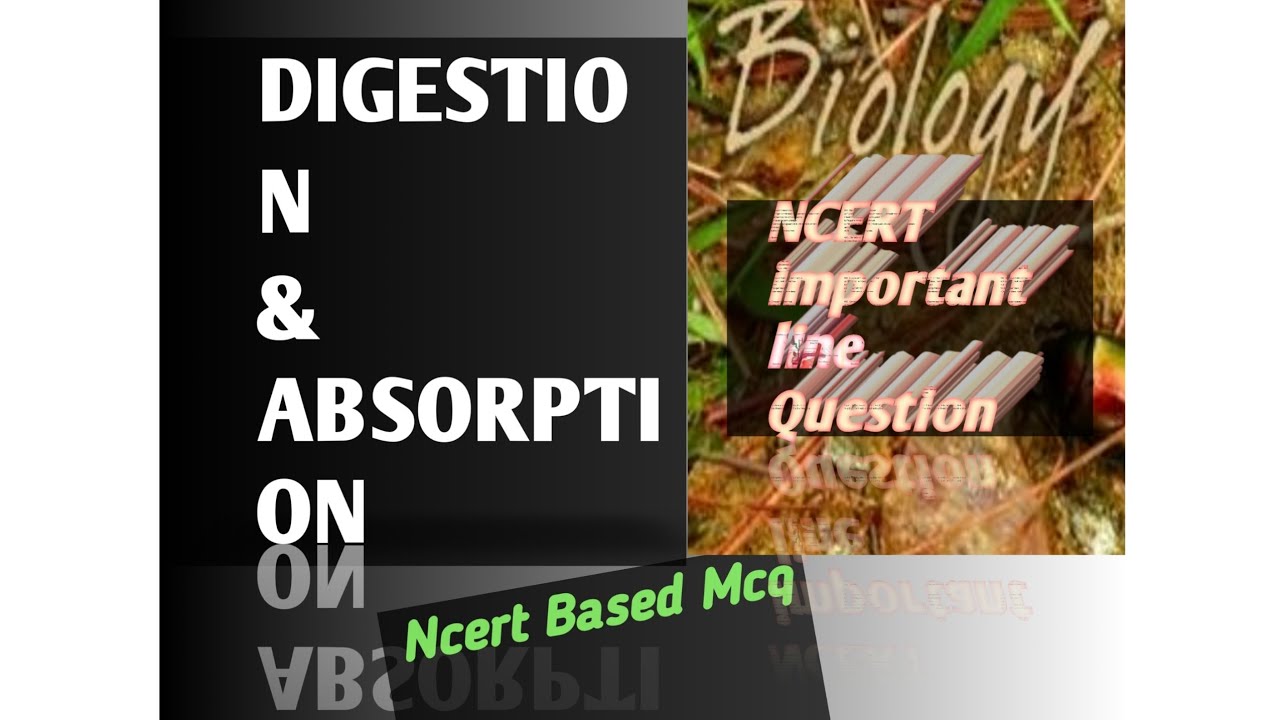 digestion and absorption class 11 / digestive systemdigestive system of ...