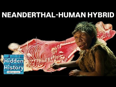 Neanderthal-human ‘hybrid’ child remains dated at last - YouTube