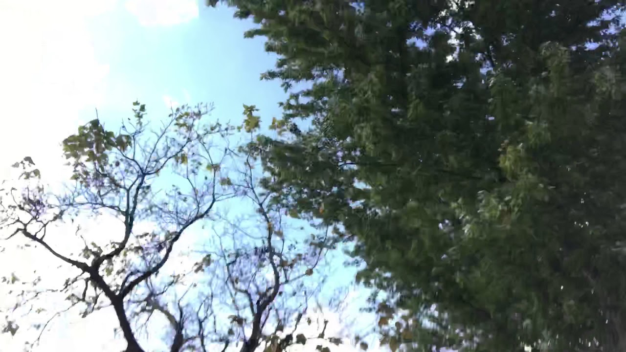 Trash can race - YouTube