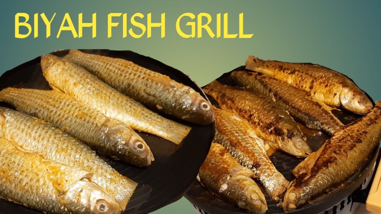 Yummy fresh biyah fish grill - YouTube