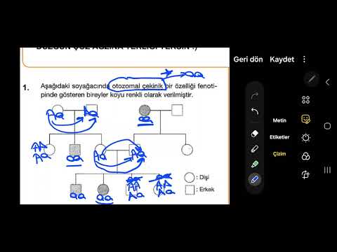 Otozomal Cekinik