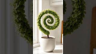 Crafting a Spiral Dwarf Jade Plant 🌿🌀