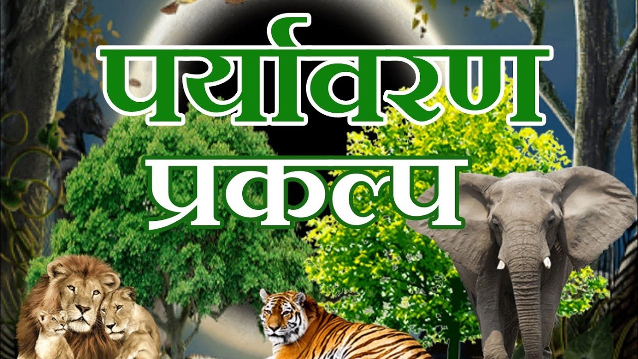 Paryavaran Project / 11 th 12 th पर्यावरण प्रकल्प / Paryavaran prakalp ...