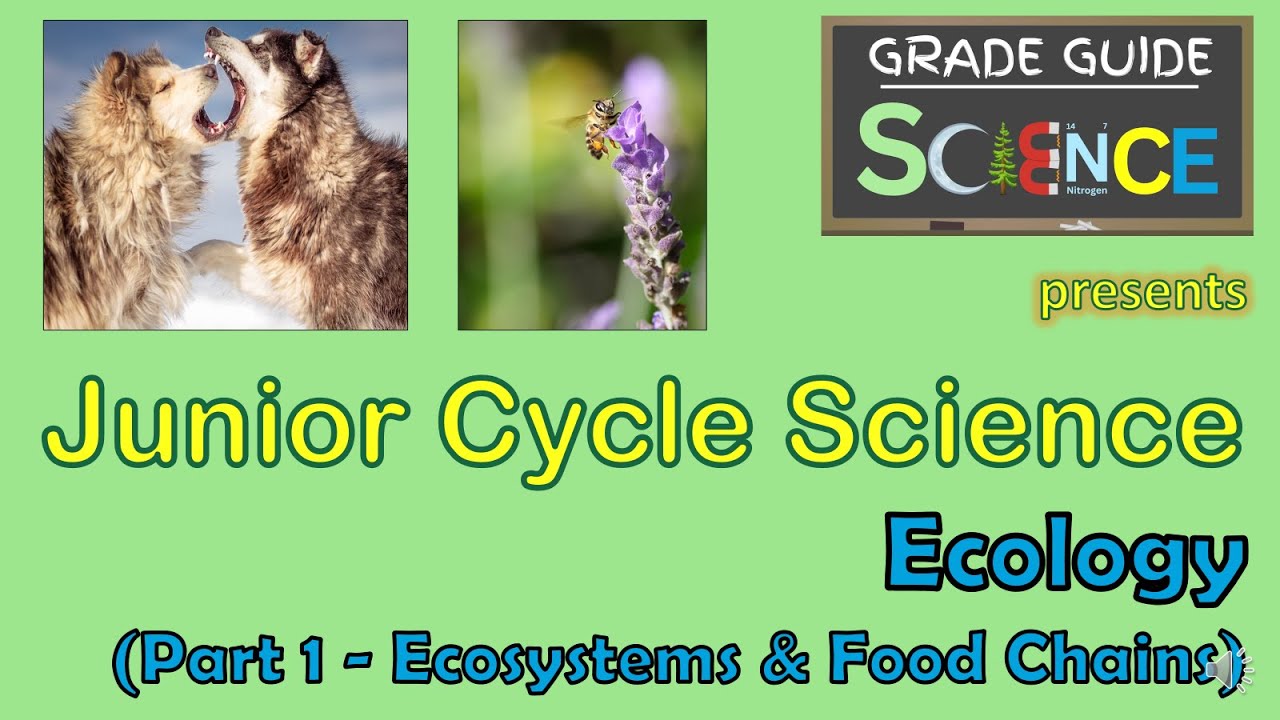 Ecology (Part 1) - Ecosystems & Food Chains - Junior Cycle Science ...