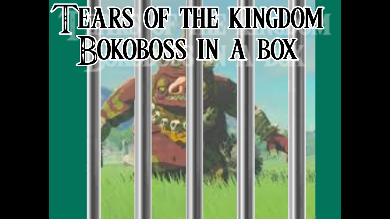 Tears of the kingdom Boss bokoblin in a box #popular #totk #zelda # ...