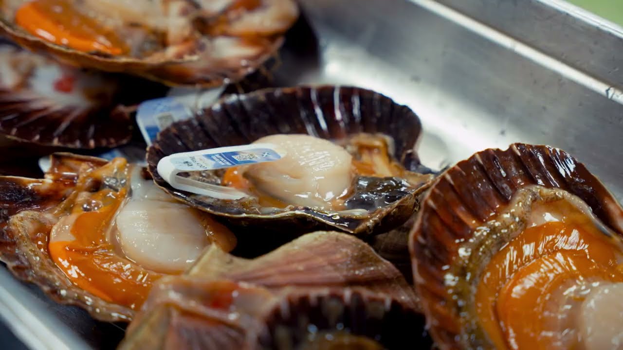Seafood Scotland 'Chef Poissonnier of the year UAE' Semi Finals - YouTube