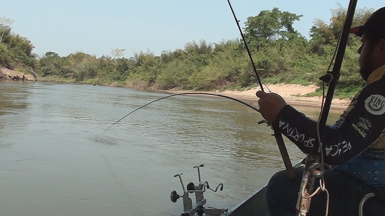 Rio Miranda, maravilha do Pantanal Sul. River Miranda Brazil. - YouTube