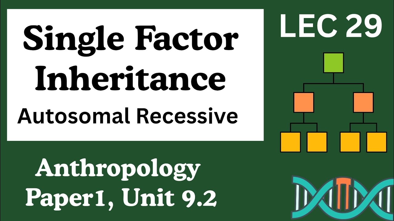 LEC 29 Single Factor Inheritance? Autosomal Recessive Diseases? - YouTube