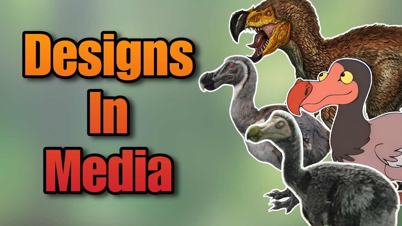 The MANY Interpretations of The Dodo Bird! - YouTube