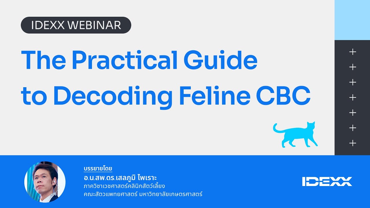 [IDEXX Webinar] The Practical Guide to Decoding Feline CBC - YouTube