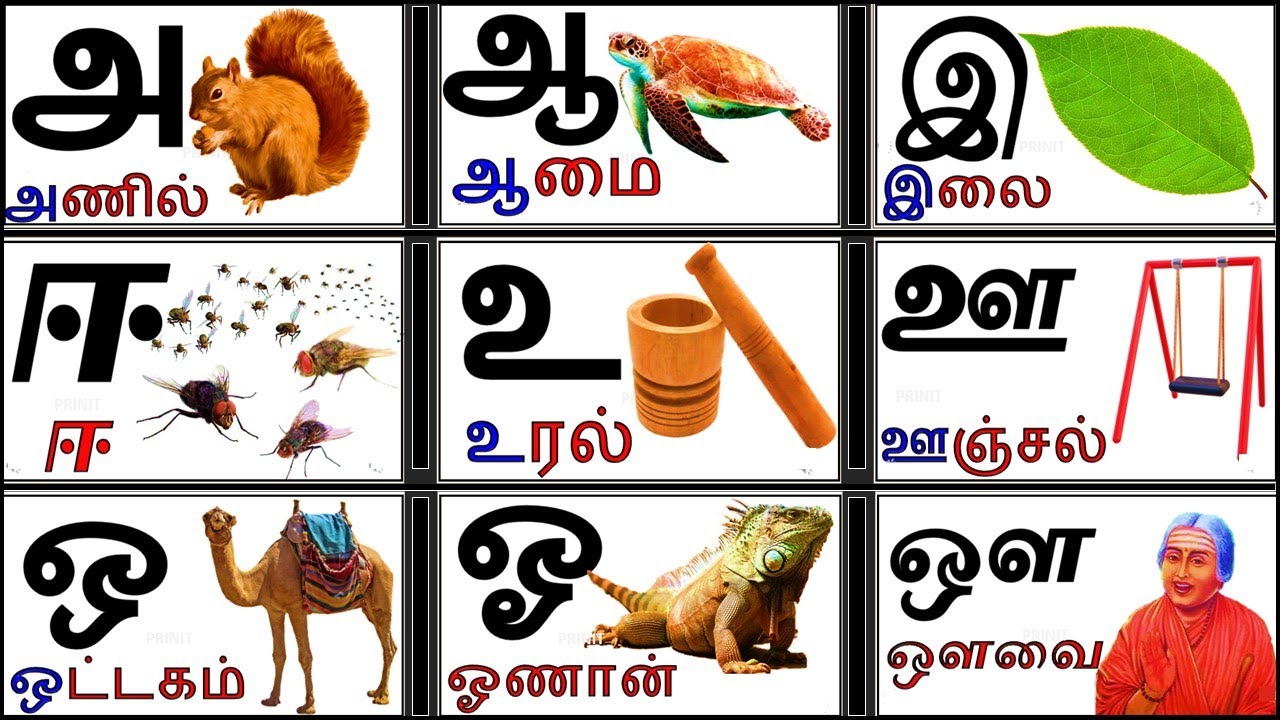 Uyir Ezhuthukal | Learn Tamil Alphabets/அ அணில் ஆ ஆமை || அ ஆ இ ஈ ...