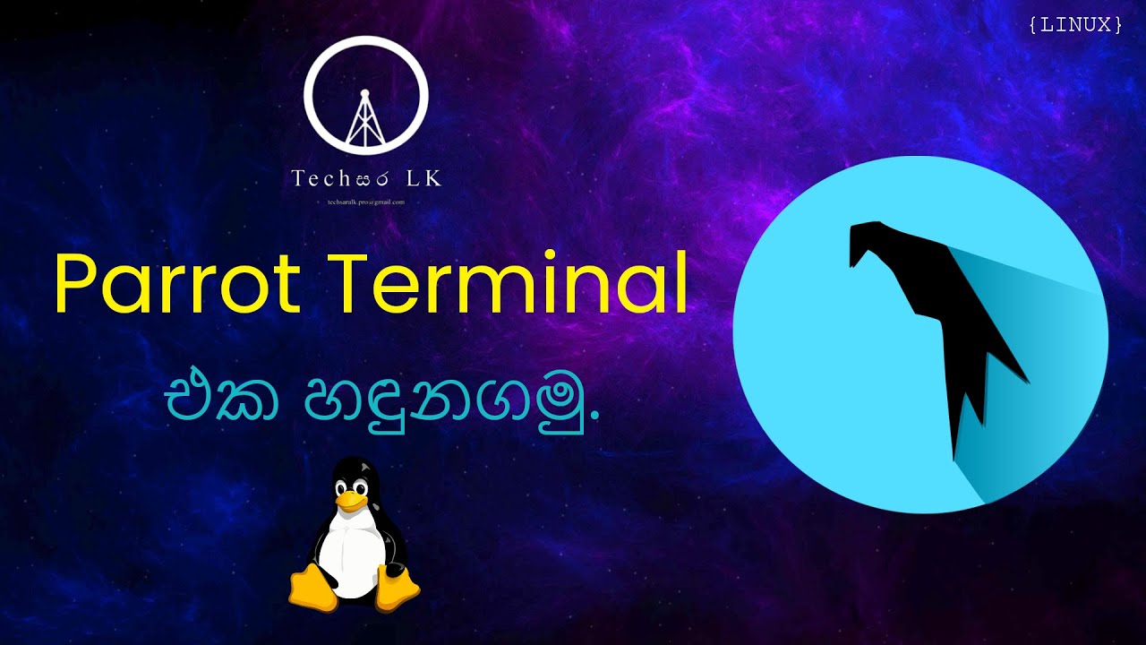 Parrot Terminal එක හඳුනගමු - Parrot Terminal explain in Sinhala ...