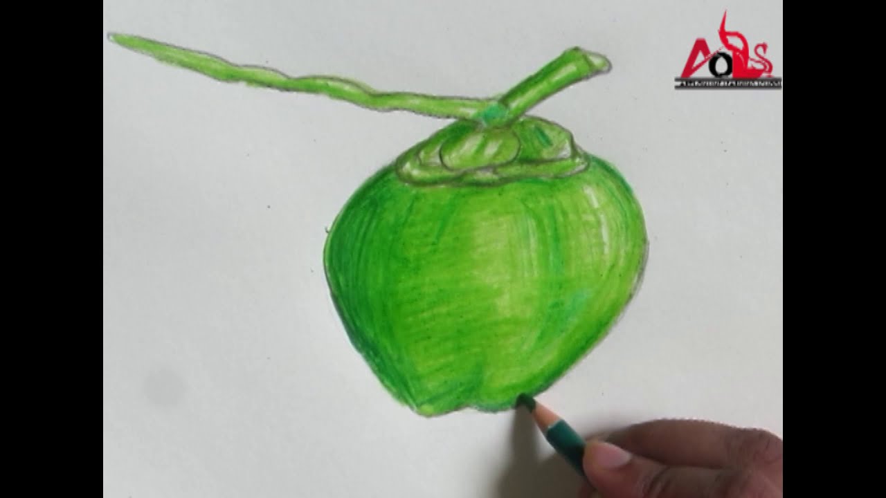 How to Draw Green Coconut Step by Step || coconut drawing - YouTube