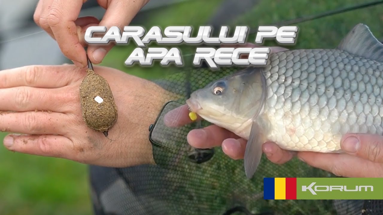 In cautarea carasului pe apa rece - Balta Cornesti 2 - YouTube