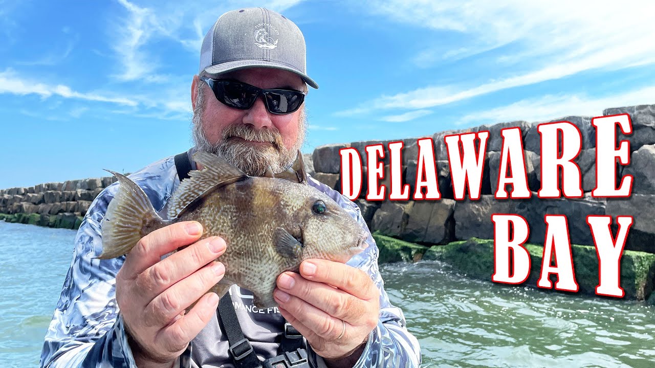 Outer wall fishing in Delaware Bay. - YouTube