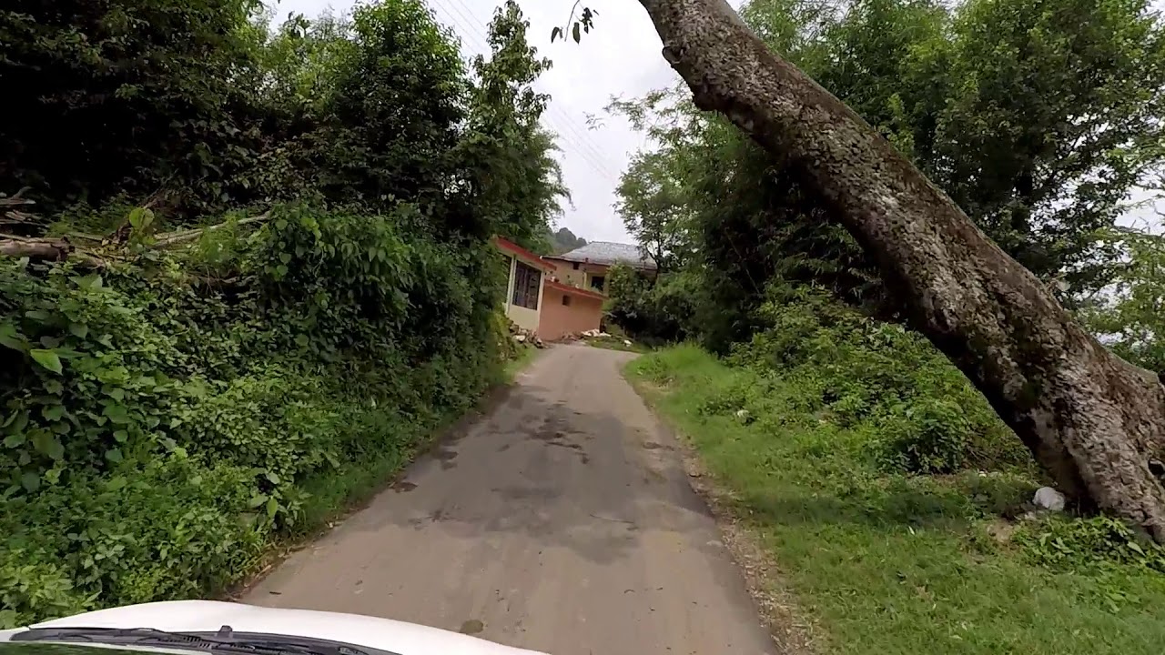 Simas Village Road || Himachal Pradesh, India - YouTube