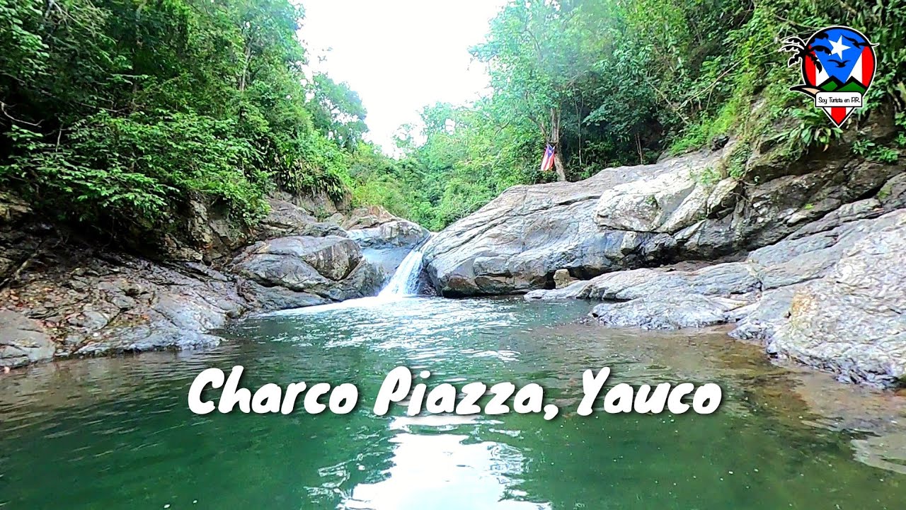 Charco Piazza, Yauco - YouTube
