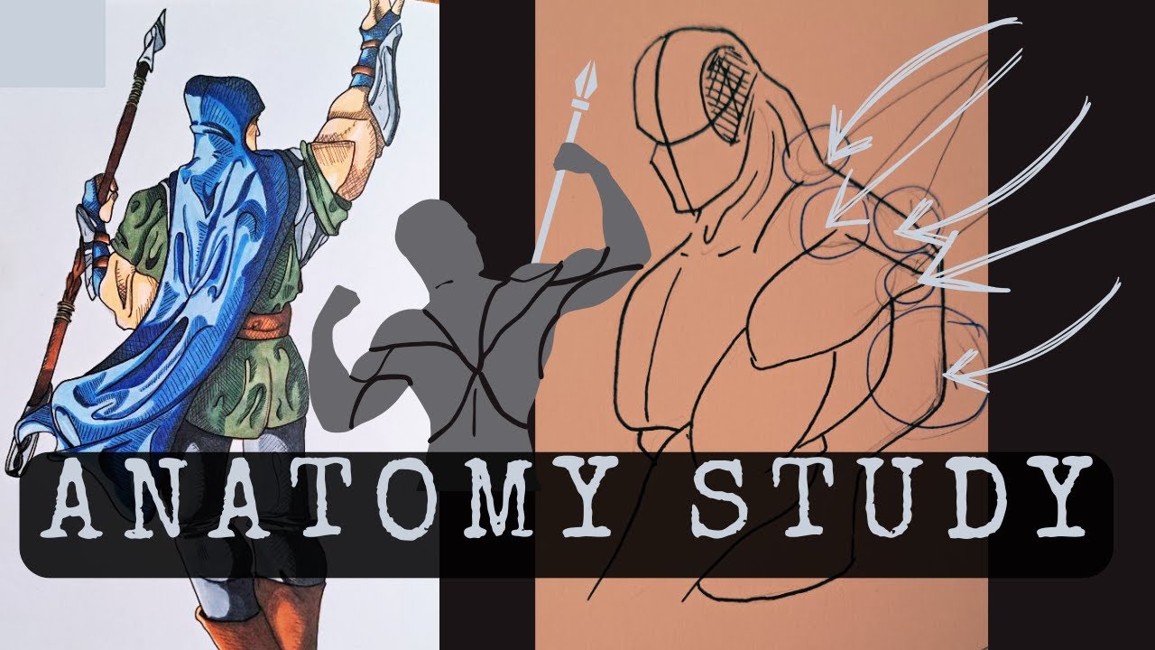 I Learned to Draw Superhero Anatomy | Draw Superhero Backs ...