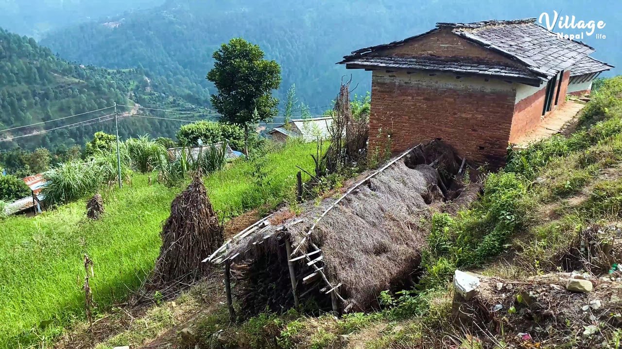 Beautiful village life | Simply the best rural life in Nepal | Rural ...