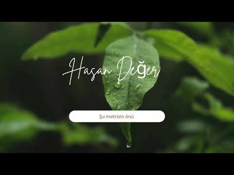 Hasan Değer - Şu metrisin önü COVER #türkü 