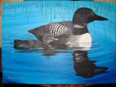 Loons Painting - YouTube