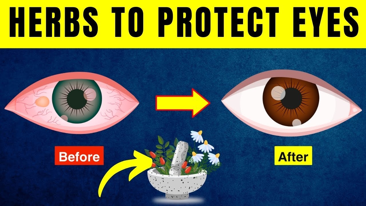 7 Natural Herbs to PROTECT Your Eyes and Restore Vision! - YouTube