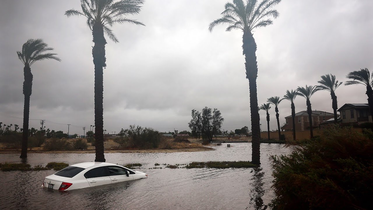 HURRIQUAKE!!! 5.1M Earthquake As Tropical Storm Hilary Hits Los Angeles ...