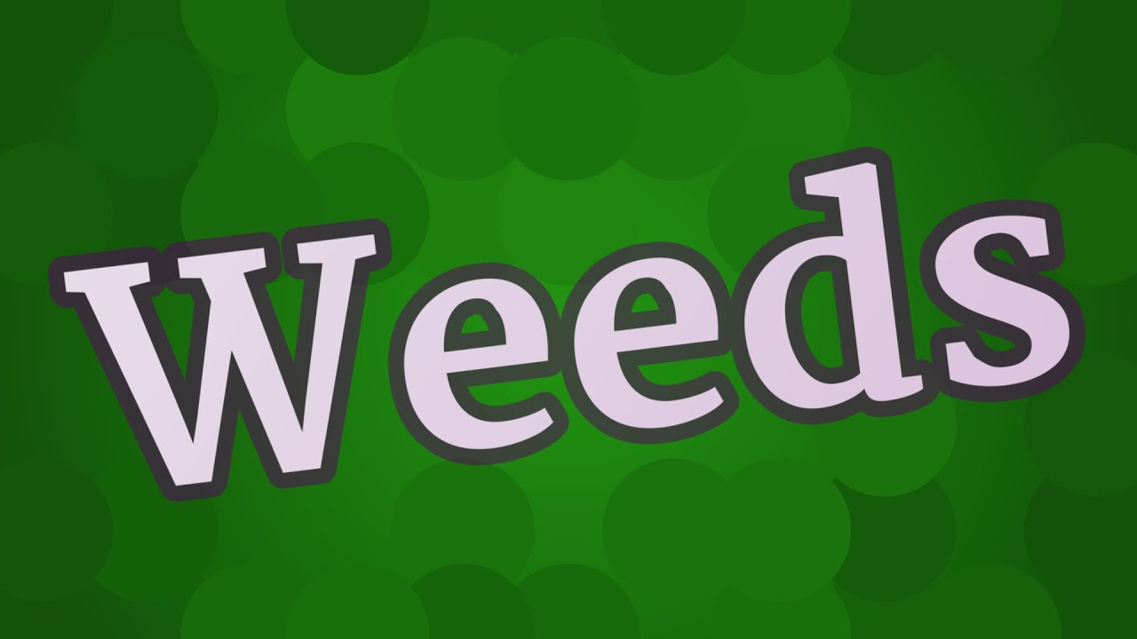 WEEDS pronunciation • How to pronounce WEEDS - YouTube