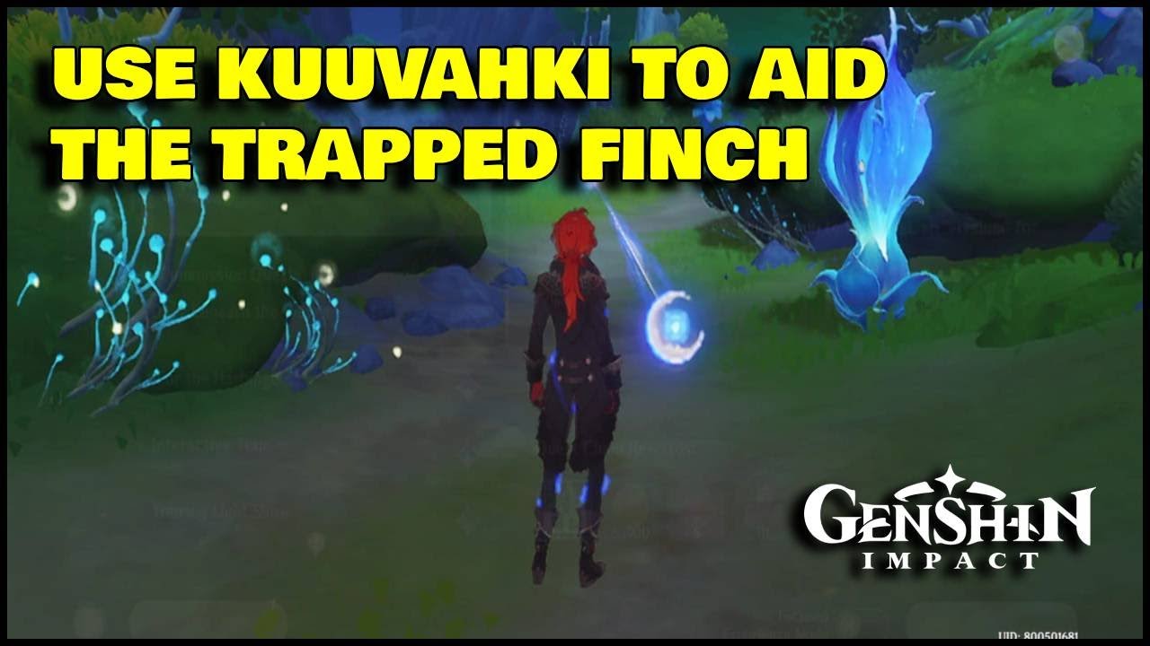 Use kuuvahki to aid the trapped Finch Genshin Impact - YouTube