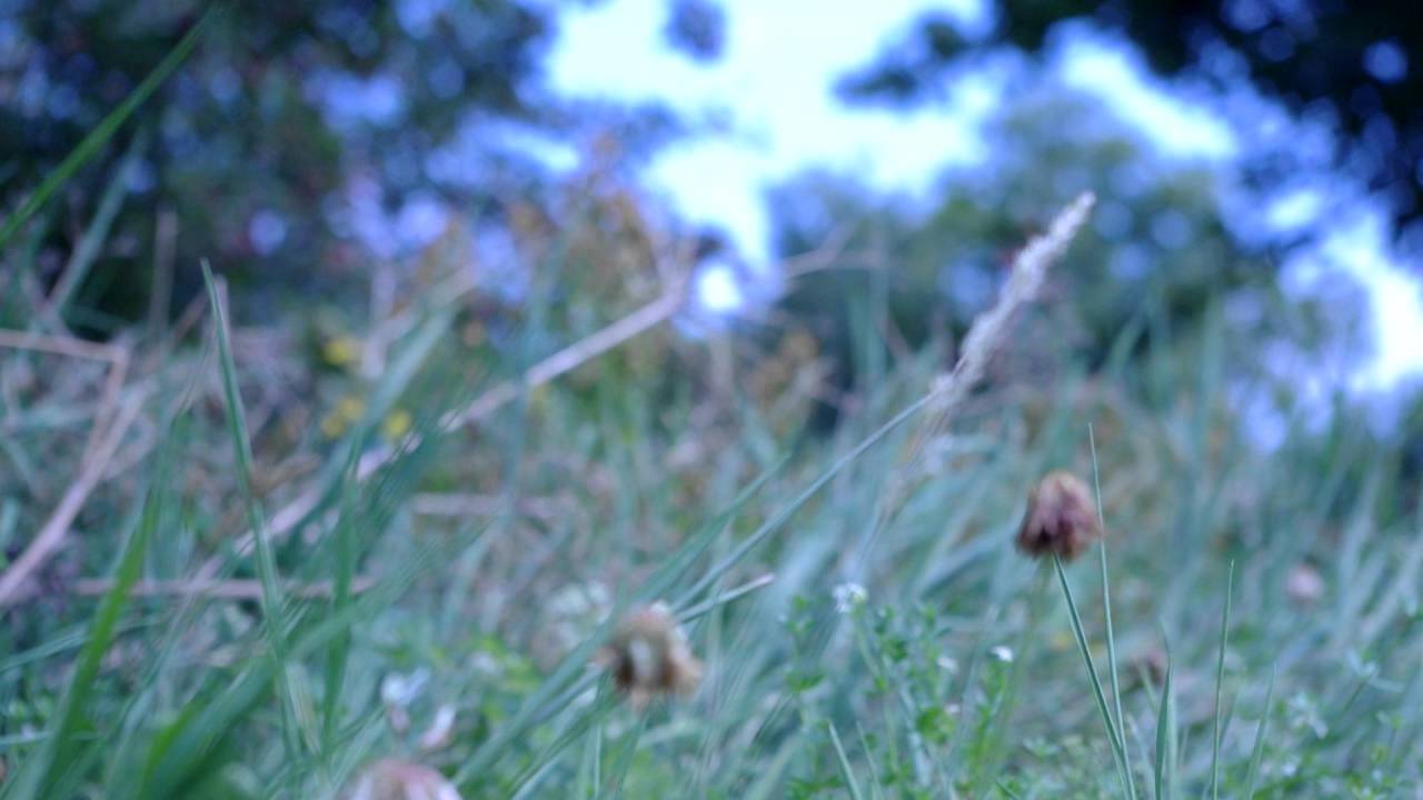 for Jody Dobrowski - YouTube