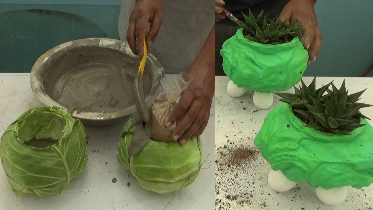 Make tree pot with CABBAGE । DIY ।Craft / বাঁধাকপি দিয়ে পট তৈরী - YouTube