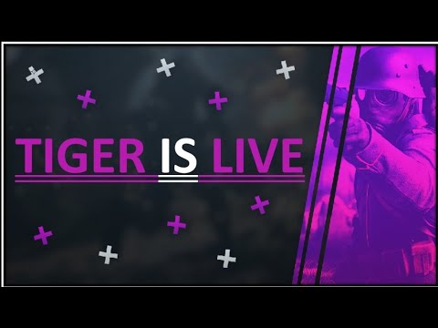 TIGER GAMING Live Stream - YouTube