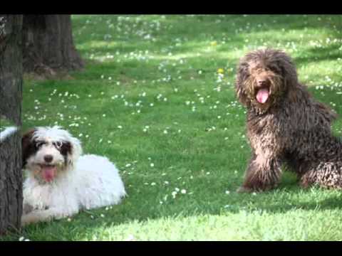 Destrozando Trouble :p