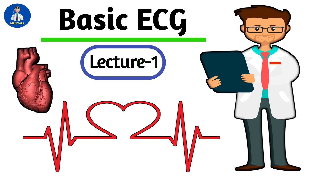 Basic ECG - Part 1, Cardiac Cycle, Conductive System, Standardization ...