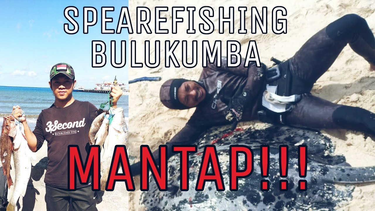 Bulukumba Explore | Keseruan Bulukumba Spearfishing | MANTAP!!! - YouTube
