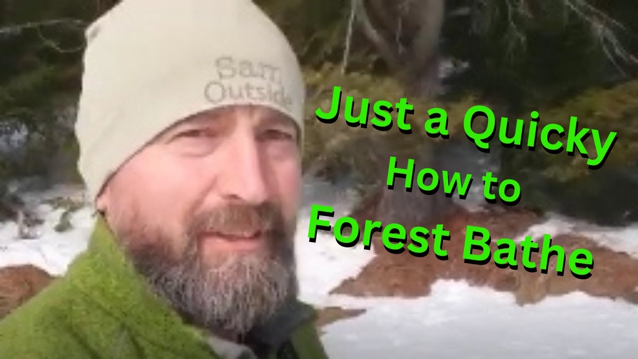 Forest Bathing Basics, a Quick Run Thru - YouTube