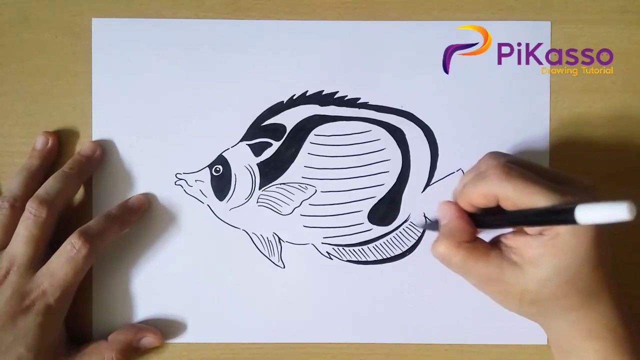 How to Draw Butterfly Fish step by step easy - YouTube