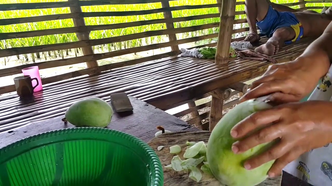 Pag grass cutter at Ginisang kundol #BuhayBukid - YouTube