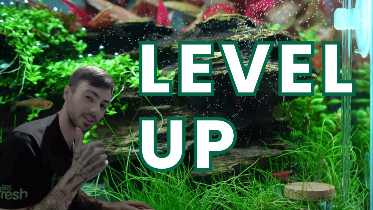 THINKING CO2? Here’s HOW You SETUP Your Regulator - YouTube