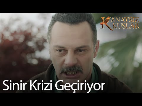 Muzaffer sinir krizi geçiriyor! - Kanatsız Kuşlar🕊🕊 23. Bölüm