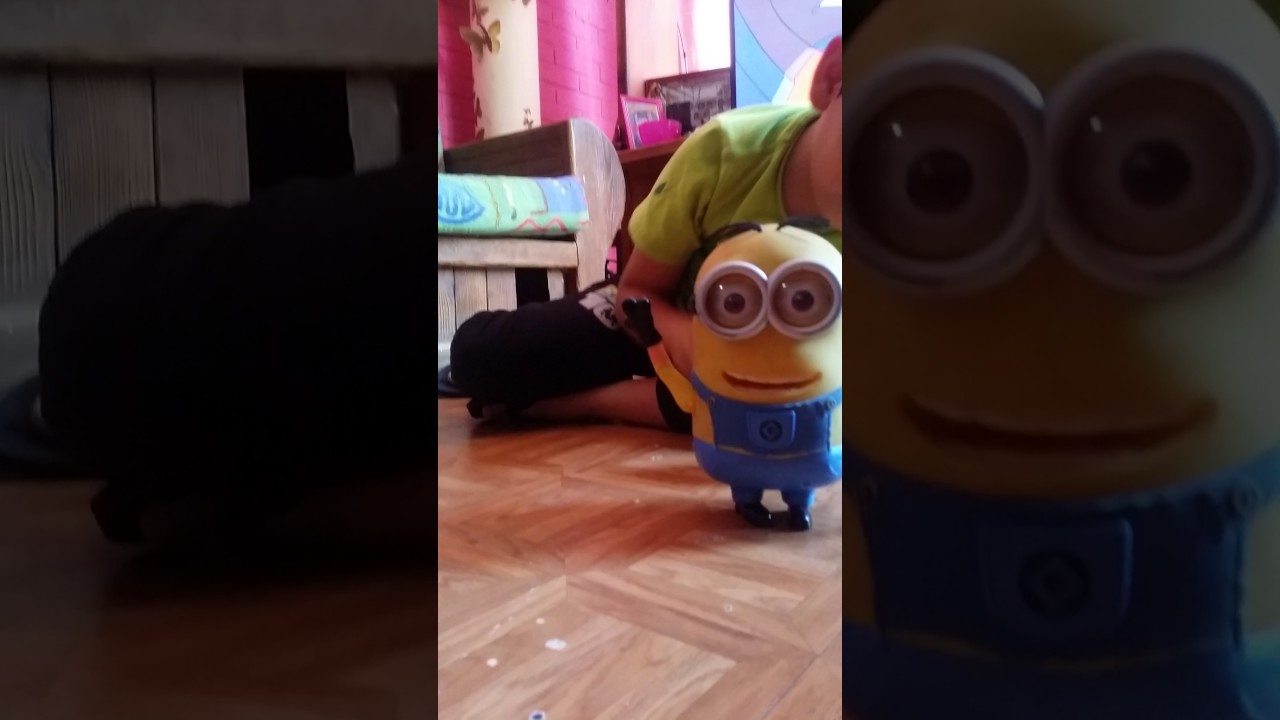 El minion loco - YouTube