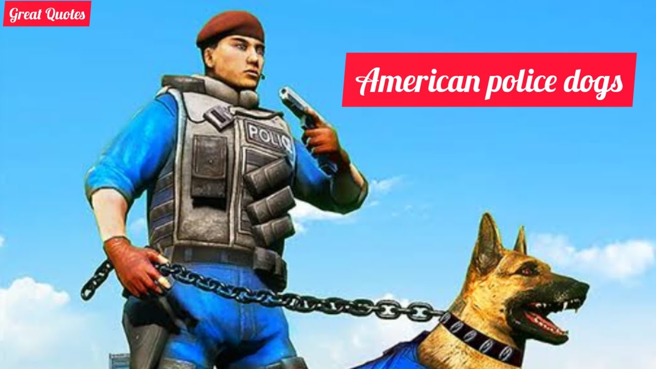 تدريب الكلاب البوليسية فى امريكا. فيديو رائع يستحق المشاهدة. American ...
