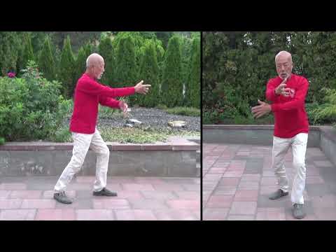 108 moves Moy TaiChi set - Move #53, #54 and #55