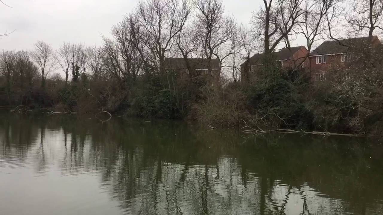 Ingle Pingle - YouTube