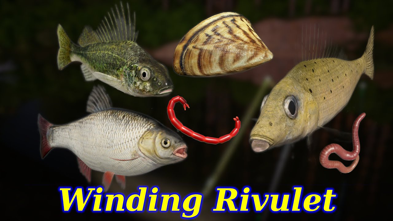 Russian Fishing 4 | Winding Rivulet | Donets Ruffe | rf4 spot 94 - YouTube