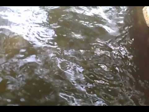 Estaleiro Renave Pesca.3gp - YouTube