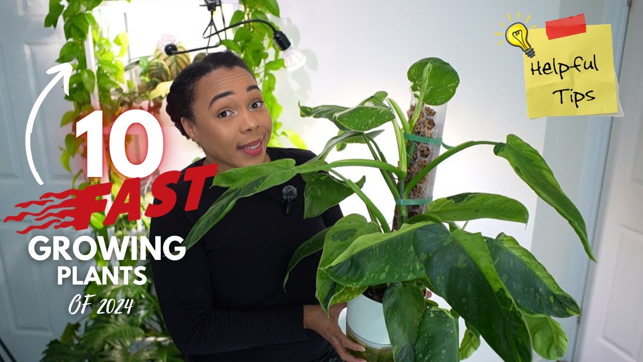 10 of my FASTEST growing plants & TIPS to speed up growth - YouTube