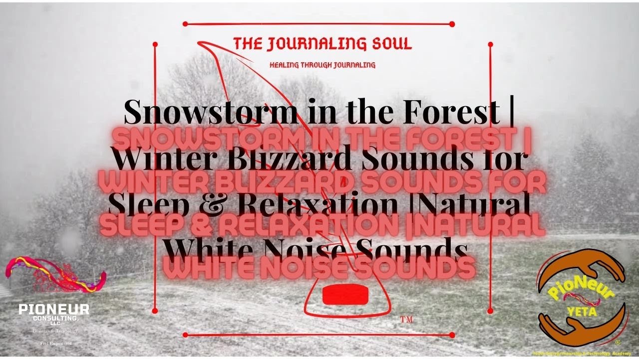 Snowstorm in the Forest | Winter Blizzard Sounds for Sleep & Relaxation ...