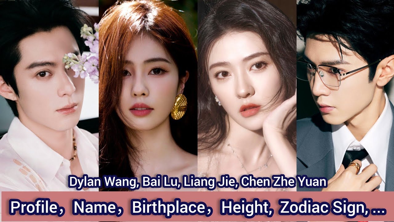 Dylan Wang, Bai Lu, Liang Jie, Chen Zhe Yuan | Profile，Name，Birthplace ...
