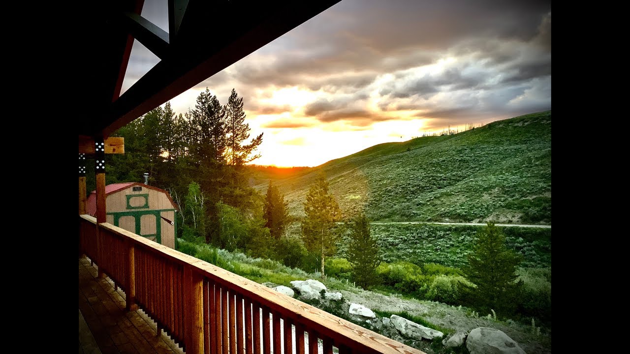 Calamity Girl is going live! A chat time with a subscriber who also ...